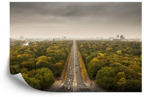 Fototapeta Berlín Z Dálky Hladký vinyl 400x280