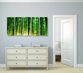 5-dílný obraz svěží zelený les Varianta: 100x50