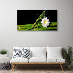 Obraz na plátně Bambus Květ Rostlina 120x60 cm