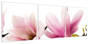 Obraz květu (120x40 cm)