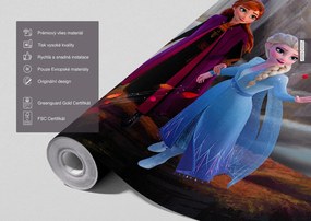 Dětská vliesová fototapeta na zed' Ledové království Rybník, Disney | 202 x 90 cm | DFTDNH 5386