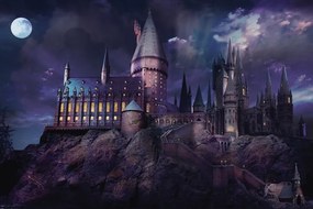 Umělecký tisk Harry Potter - Hogwarts night, (40 x 26.7 cm)