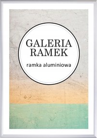 Rámeček na fotografie 59,4x84 cm Rámeček stříbrný hliníkový fotorámeček A1
