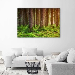 Obraz na plátně Stromy v mechu Krajinomalba - 120x80 cm