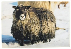Rohožka ke dveřím Islandská ovce - 75*50*1cm