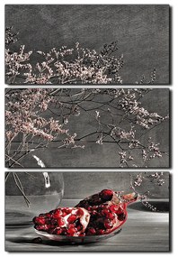 Obraz na plátně - Zátiší - větev a granátové jablko - obdélník 7274QB (90x60 cm  )