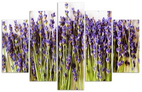 Obraz na plátně pětidílný Levandulové květiny Příroda - 200x100 cm