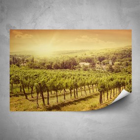 Plakát - Západ slunce na vinici (60x40 cm) - PopyDesign