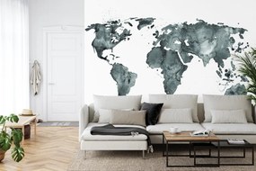 Fototapeta Mapa Světa Strukturální vinyl 400x280