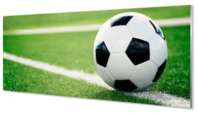 akrylový obraz fotbalový trávník 120x60 cm