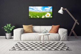 Obraz na plátně Sedmikráska Tráva Příroda 140x70 cm