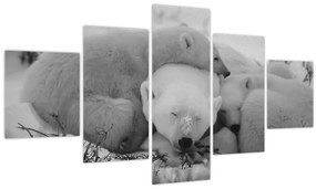 Obraz - Lední medvídci, černobílá (125x70 cm)