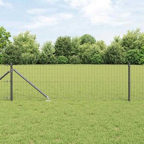 Evropský plot se hroty 25 x 0,8 m Ocel potažená PVC Šedá 3350678