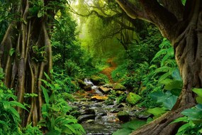DIMEX | Vliesová fototapeta Řeka v tropech MS-5-1604 | 375 x 250 cm| zelená, hnědá