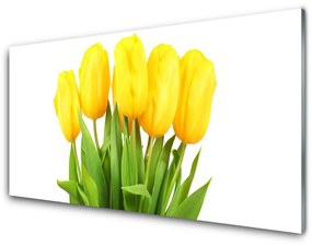 Obraz na skle Tulipány Květiny Rostlina 100x50 cm