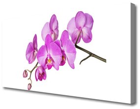 Obraz na plátně Vstavač Orchidej Květiny 120x60 cm