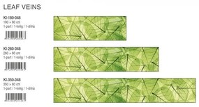 DIMEX | Fototapeta do kuchyně Žilky listů KI-260-048 | 260 x 60 cm | zelená
