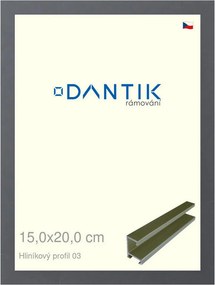 DANTIK rámeček 15x20 | ALU profil 7003 Platina matná (Sklo Čiré)