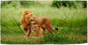 Sablio Ručník Lev a lvice - 50x100 cm