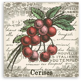 Obraz na plátně, Vintage Cherry - 60x60 cm