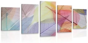 5-dílný obraz žilky na barevných listech