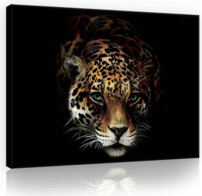 Obraz 70x50 Zelenooký Jaguar Moderní animalismus do obývacího pokoje