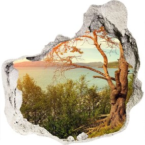 Wallmuralia Díra 3D ve zdi nálepka Skandináie jezero 75x75 cm
