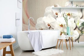 Samolepící tapeta bílá orchidej na plátně - 150x270