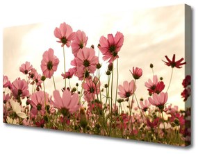 Obraz na plátně Polní Květiny Louka Příroda 120x60 cm