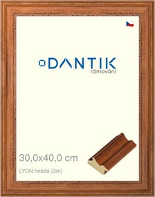 DANTIK rámeček 30x40 | LYON hnědá (Plexi Čiré)