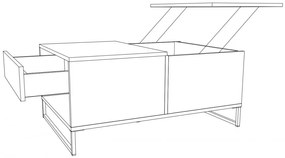 Konferenční stolek DENVER - dub halifax/bílá lesk