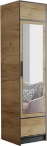 Szafa otwierana jednodrzwiowa Roj1D - 53,2x205x39 cm dub Craft zlatý