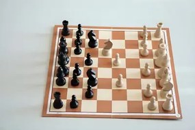 DETOA Šachy a dáma / Dřevo, papír / od 3 let