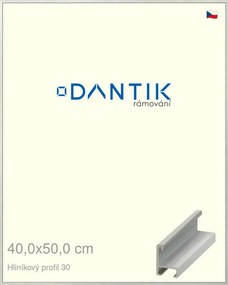 DANTIK rámeček 40x50 | ALU profil 6030 Dýha barevná šedá světlá (Plexi Čiré)