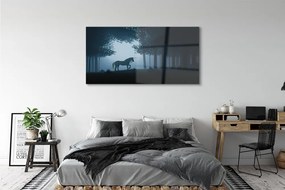 akrylový obraz Las noc jednorožec 140x70 cm
