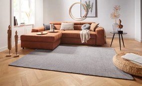 Koberec Hanse Home Cloud světle šedý