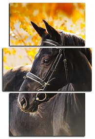 Obraz na plátně - Černý kůň - obdélník 7220C (120x80 cm)