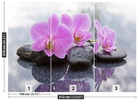 Fototapeta Orchidejové kameny 104x70