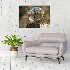 Skleněný obraz - Odraz ve skleněné kouli (70x50 cm)