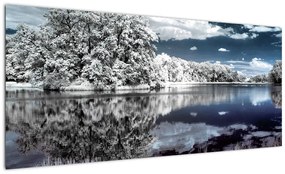 Zimní krajina - obraz (100x40cm)