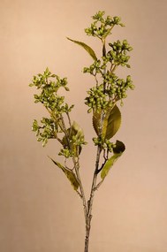 Paramit DRY VIBURNUM TINUS Aranžovací květina zelená 58 cm