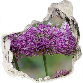 Wallmuralia Samolepící díra na stěnu Květ česneku 75x75 cm