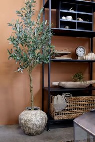 Dekorace umělý stromek olivovník s olivami Olea Tree - 15*170 cm