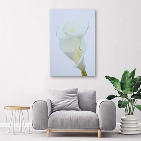 Gario Obraz na plátně Bílá calla Rozměry: 40 x 60 cm