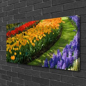 Obraz na plátně Květiny Zahrada Tulipány 120x60 cm