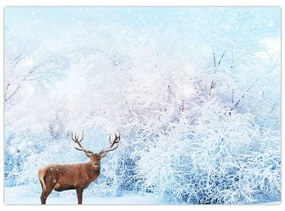 Obraz majestátního jelena (70x50 cm)