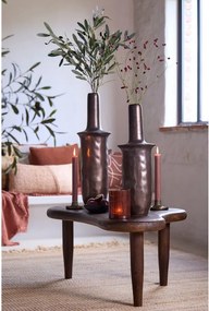 Konferenční stolek z mangového dřeva v tmavě přírodní barvě 64x102 cm Canzo – Light &amp; Living