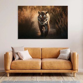 Obraz na plátně - Tygr běžící savanou FeelHappy.cz Velikost obrazu: 90 x 60 cm