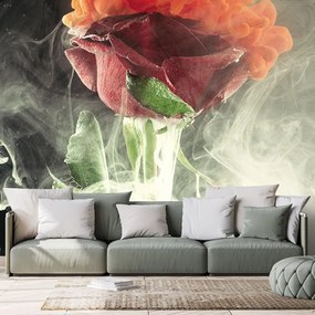 Samolepící tapeta růže s abstraktními prvky - 150x100 cm