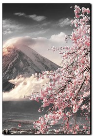 Obraz na plátně - Hora Fuji a třešňové květiny na jaře- obdélník 7266QA (60x40 cm)
